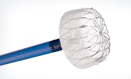 Watchman_FLX_LAA Occluder_Boston_Sci - MHVI